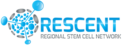 What is stem cell | Regional Stem Cell Network